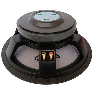 Woofer 15” 38,5cm 1000W 8 OHM J15-2228H - - Plug & Sound | eBay
