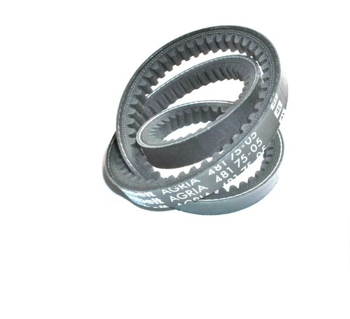 AGRIA Keilriemen für 400, 5300 Fahrantrieb Vorwärtsgang 48175 | eBay.de