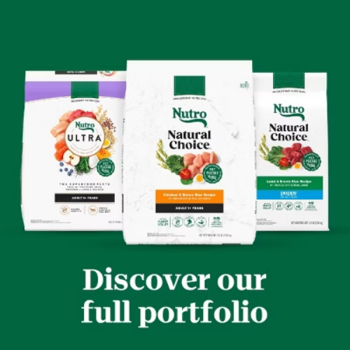 Nutro Chicken, Brown Rice and Sweet Potato Flavor Small Breed Adult Dry ...