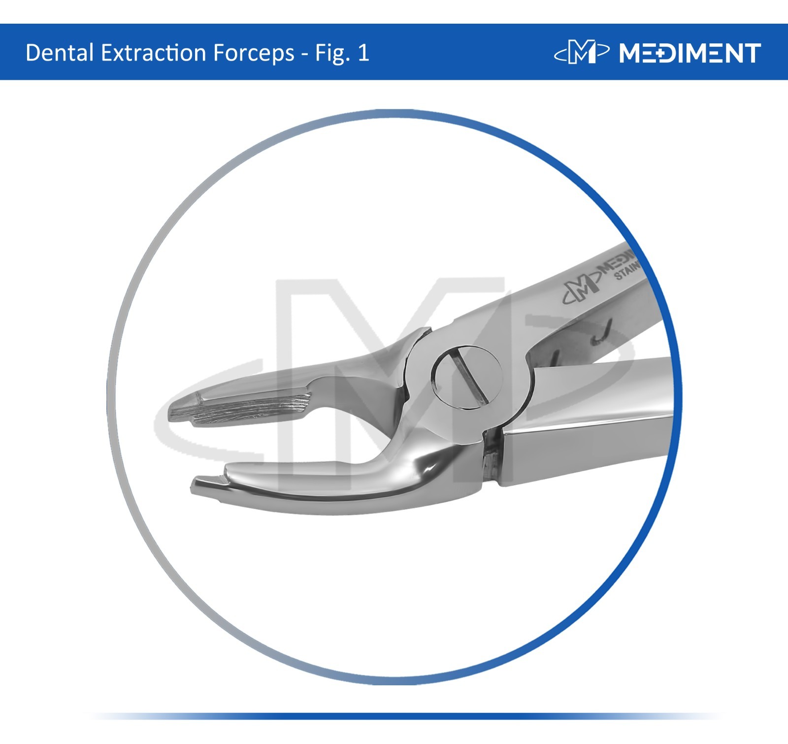 UNIVERSAL F1 DENTAL EXTRACTION FORCEPS TOOTH EXTRACTING UPPER ...