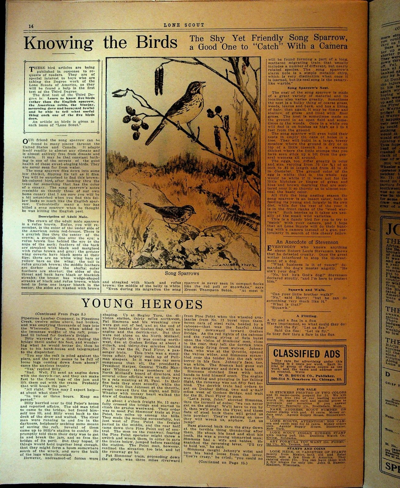 Lone Scout Magazine May 20 1916 Collecting Butterflies Song Sparrow | eBay