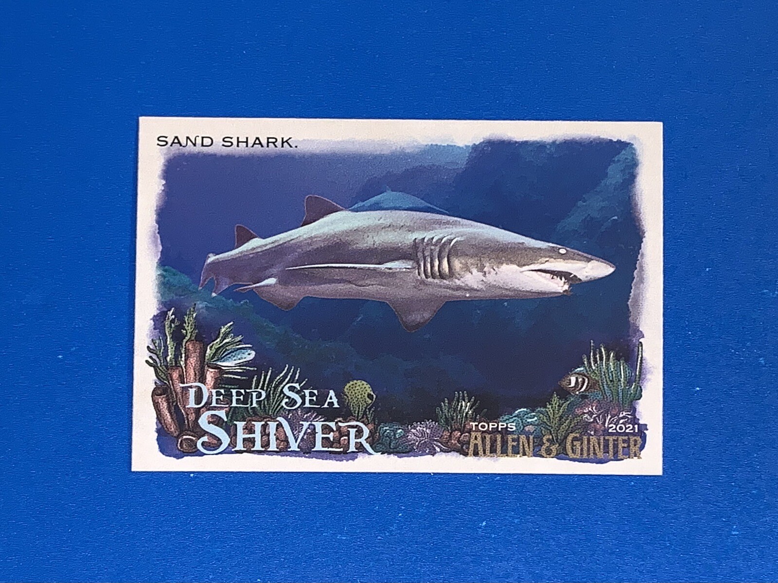 2021 Topps Allen & Ginter Deep Sea Shiver Sand Shark #DSS-10 NM-MINT | eBay
