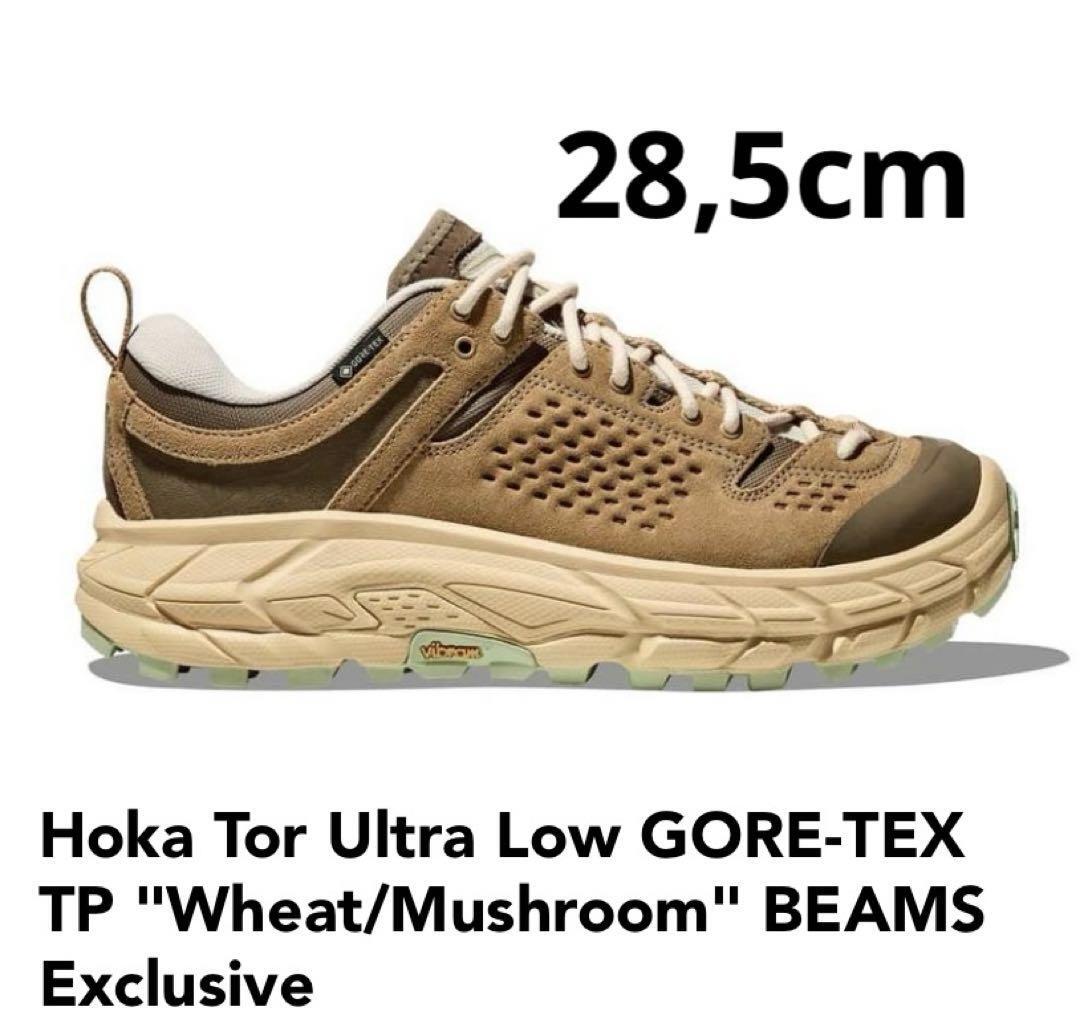 HOKA ONE ONE Tor Ultra Low Top BEAMS from Japan - Gem