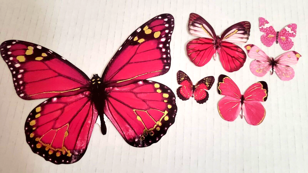 Hot Pink Butterfly