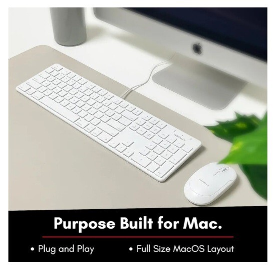 Macally Slim USB Wired Keyboard For Mac and Windows PC- Full Size 104 ...