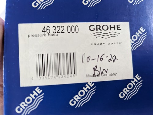 GROHE 46322000 Universal Replacement Pressure Hose, Starlight Chrome ...
