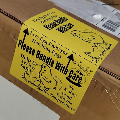 50 X-Large 6" x 4" Handle with care Hatching Eggs Shipping Labels Box ...
