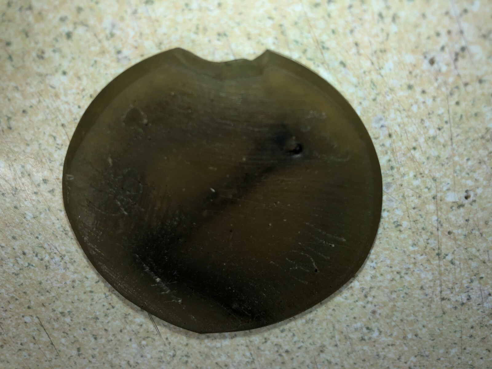 2 Roman Nails Lab Prep SAMPLES in Resin. GENUINE Inchtuthil Hoard ...