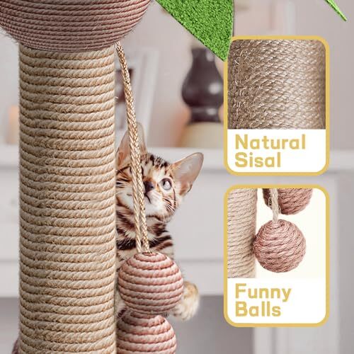 Large Cat Scratching Post 32“ Tall Cat Scratching Posts with Double Cat ...