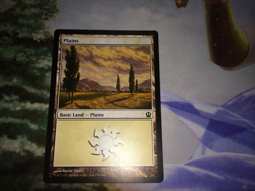 20x Plains basic land MTG magic the gathering lands White Mana cny Free ...