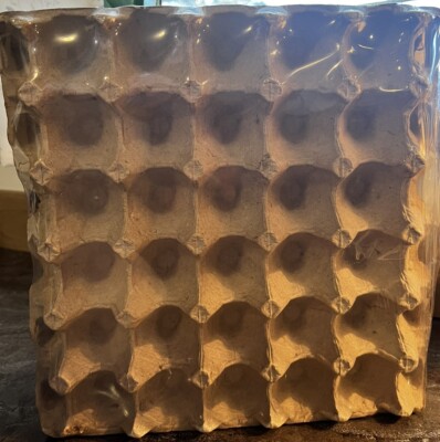 Gardening, Crafts, Eggs, Insect Colonies, 12 Grey Flats/30 Compartments ...