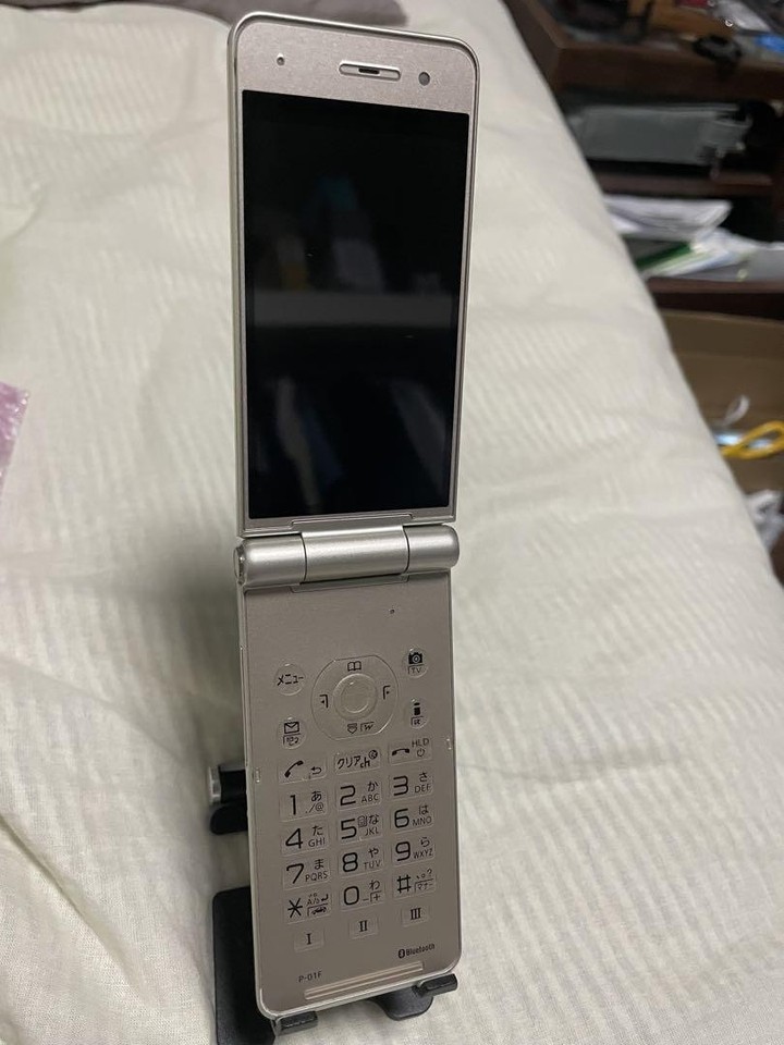 Panasonic Docomo P-01F Mobile Phone Japanese Flip Phone Garake Keitai ...