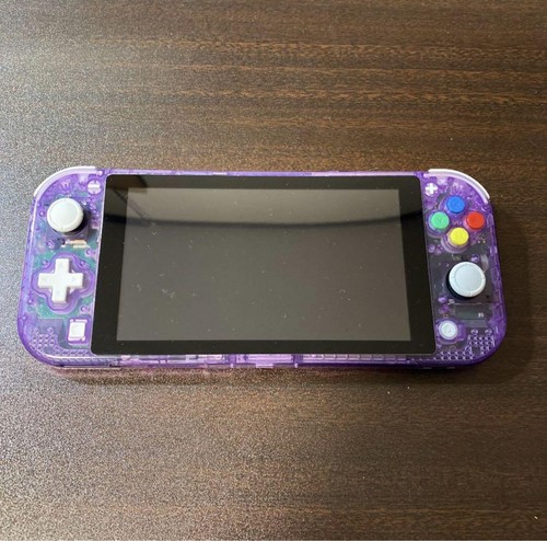 Nintendo Switch Light Custom | eBay