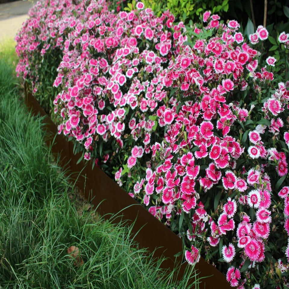 8 Inch Metal Landscape Edging, 6 Pack Heavy Duty Galvanized Steel ...