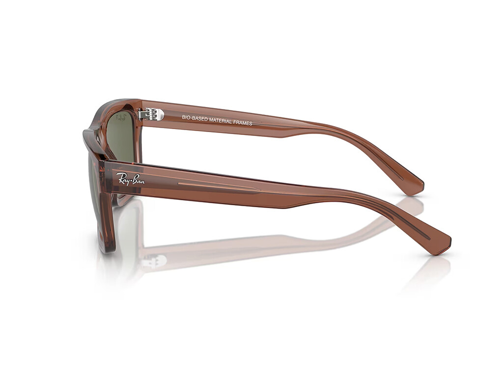 Ray-Ban Sunglasses RB4396 Warren 66789A Brown green Men Women | eBay.de