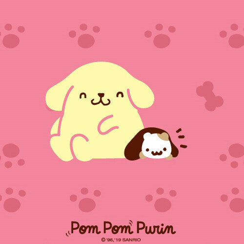 Pompompurin Card Door Bumper Case for iPhone 14 Plus Pro Pro Max | eBay