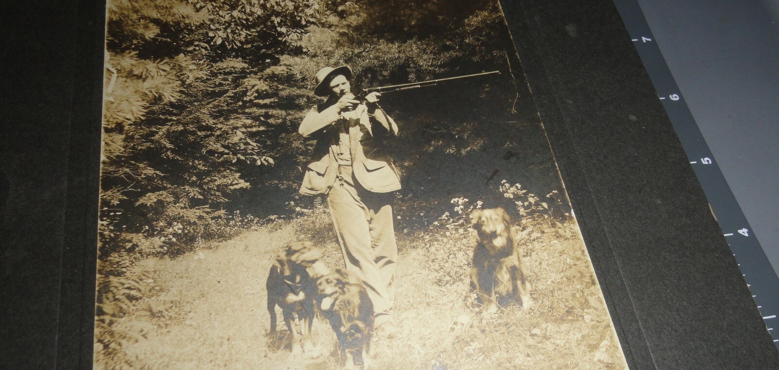 1900s BIRD HUNTER Hunting DOG Rifle Shotgun GUN Hunter Man Vintage ...