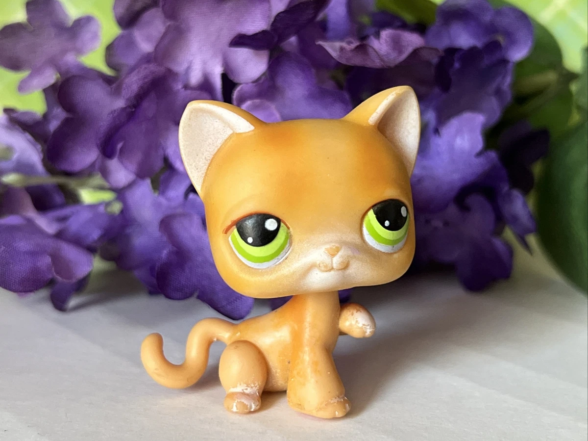 Littlest Pet Shop Cat Ebay