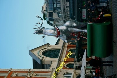 Photo A2 Christmas is Coming! London Reindeer, in Covent Garden. This ...