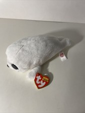 Icy the Seal - Beanie Boos - Beaniepedia