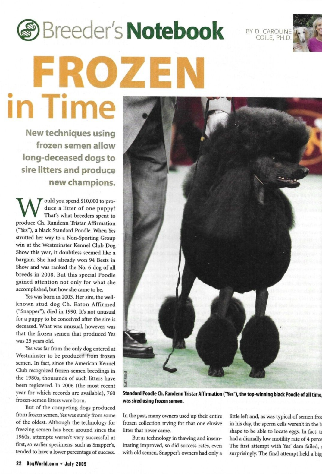 Dog World Magazine German Shorthaired Pointer Dock Jumping Lyme Disease ...