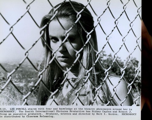 LEE PURCELL NECROMANCY 8X10 Photo X1491 | eBay