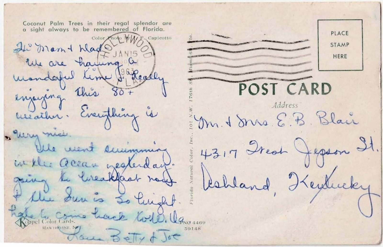 Coconut Palm Trees Postcard Regal Splendor Memories Postmarked ...