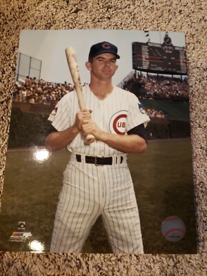 Photo File MLB Jimmy Qualls Chicago Cubs 8x10 Photo | eBay