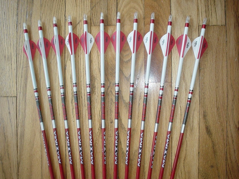 12 Carbon Express Maxima RED 250 400 Arrows: Blazer Vanes, White Dip ...