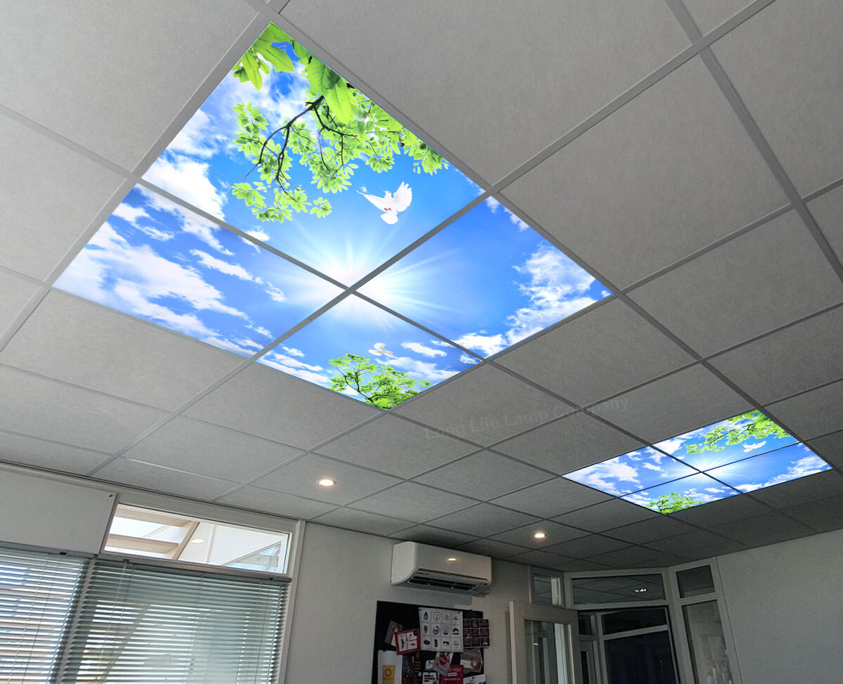 Glass Ceiling Panels
