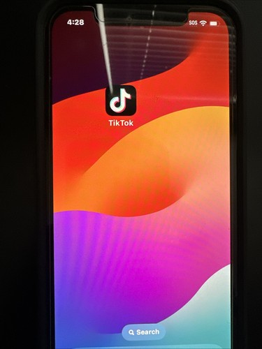 IPHONE 12 Pro 512GB Explant Conditions Factory Unlock With TIK TOK APP ...