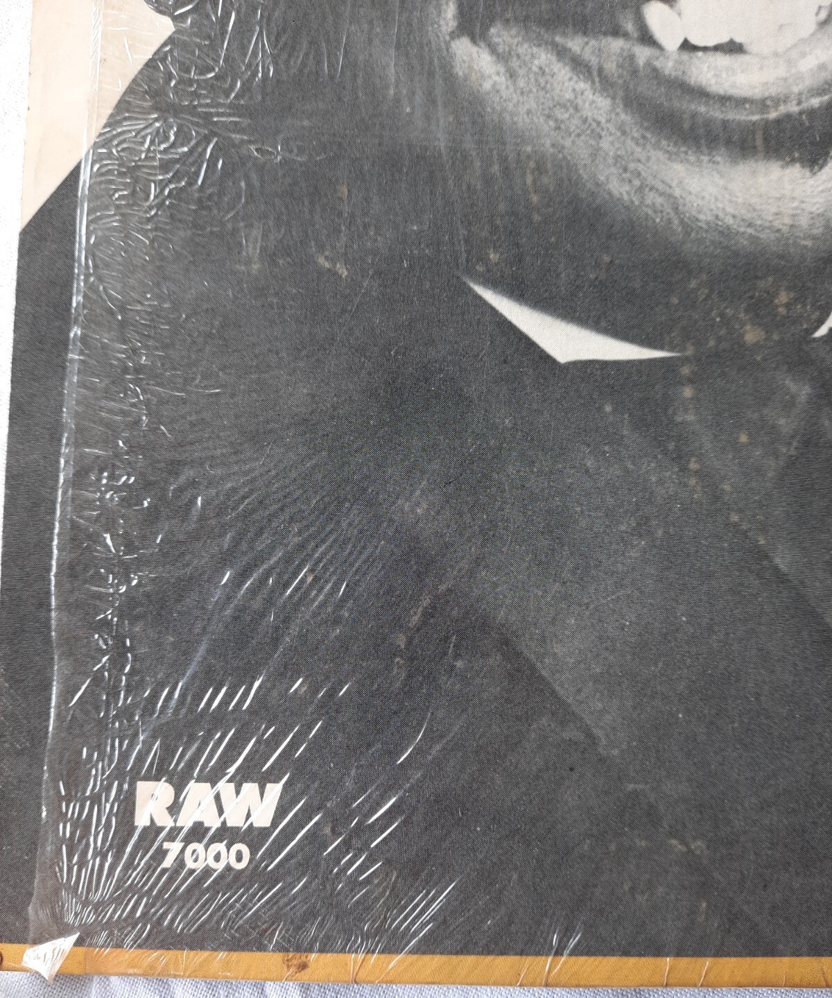 Steve Gallon: My Man Wild Man! Wild Man Steve Vinyl LP RAW 7000 | eBay