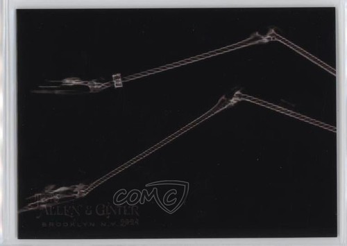 2024 Topps Allen & Ginter X-Ray'd Greater Flamingo Legs #XR-16 | eBay