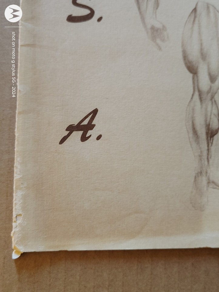 Rare 1940s-1950s Mr USA bodybuilding program Vic Tanny Steve Reeves Los ...