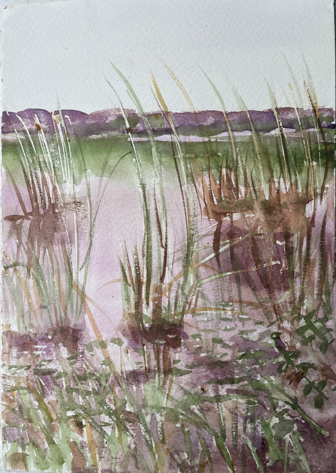 Florida, Loxahatchee Groves/ orig. w/c / 7 "W x 10 1/4"H/ Mimi Davis ...