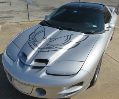 1998-2002 Trans Am WS6 80's Style Phoenix Hood Bird Vinyl Decal SILVER ...