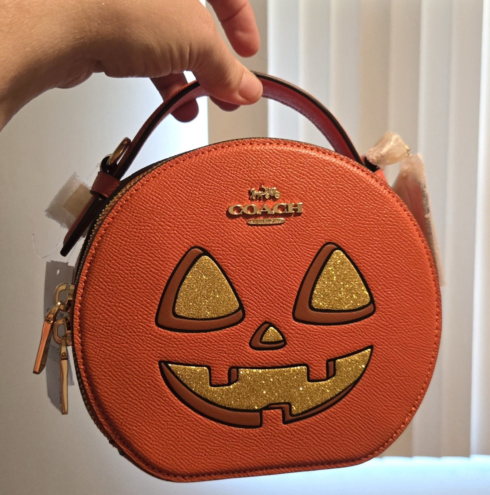 NWT Coach Canteen Crossbody Bag With Halloween Pumpkin Print CW468 | eBay