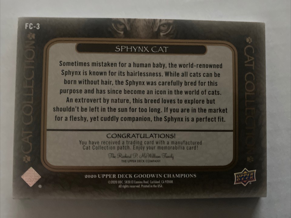 SPHYNX CAT 2020 GOODWIN CHAMPIONS CAT COLLECTION PATCH #FC-3 | eBay