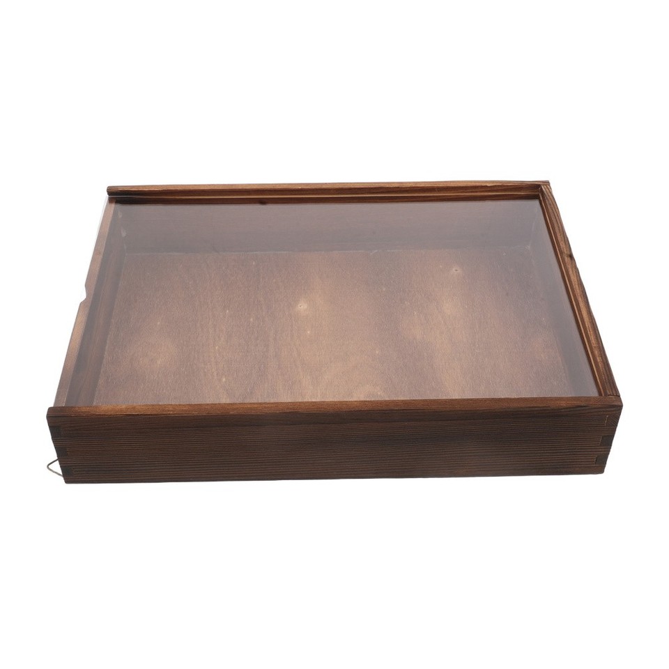 Insect Display Case Butterfly Specimen Shadow Box Dried Flower Frame ...