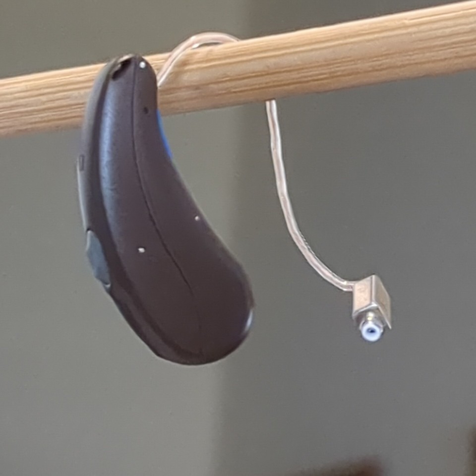 Rexton Adore Li Rechargeable Hearing Aid (Left Only) and Case Bluetooth ...