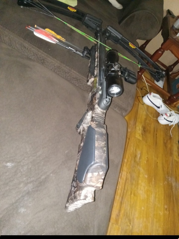 Barnett Wildcat C5 with Scope Crossbow 42609780785| eBay