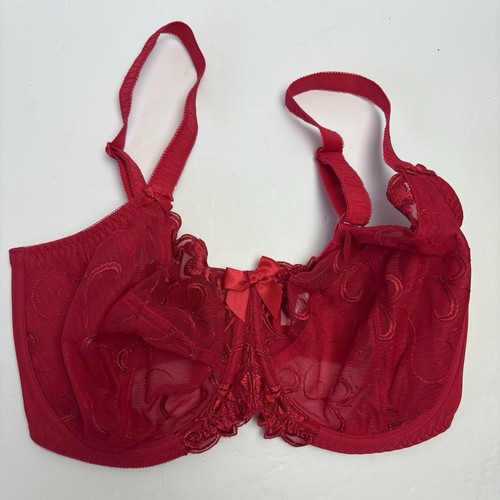 Fit Fully Yours Red Underwire Bra with Adjustable Straps Lace Bow Sheer ...