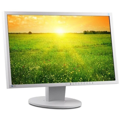 cran LCD Eizo FlexScan EV2216W 22 pouces 1680 x 1050 5 ms EcoView ...