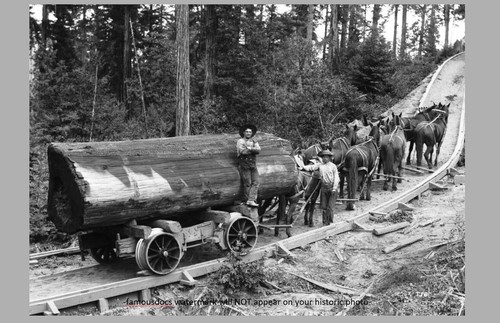 Logging Train Hauling Huge Logs PHOTO Lumberjacks Logging Vintage Ax ...