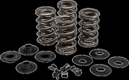 KW Intake Exhaust Valve Spring Kit .650in Lift Softail Deuce 00-04 | eBay