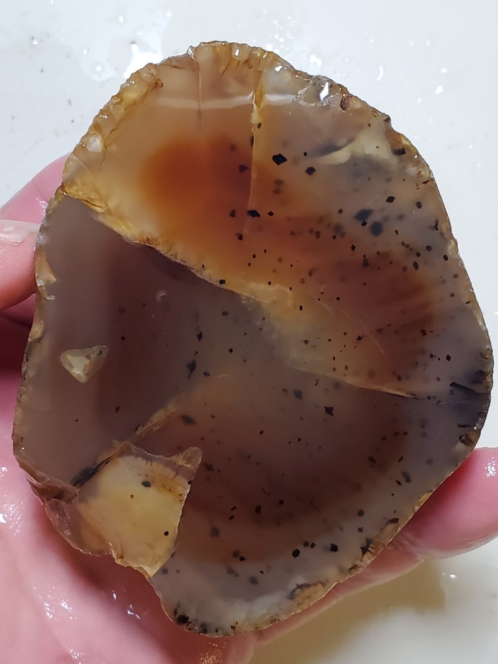 Montana Yellowstone River Agate Rare Sagenite Lapidary 390g Rough ...
