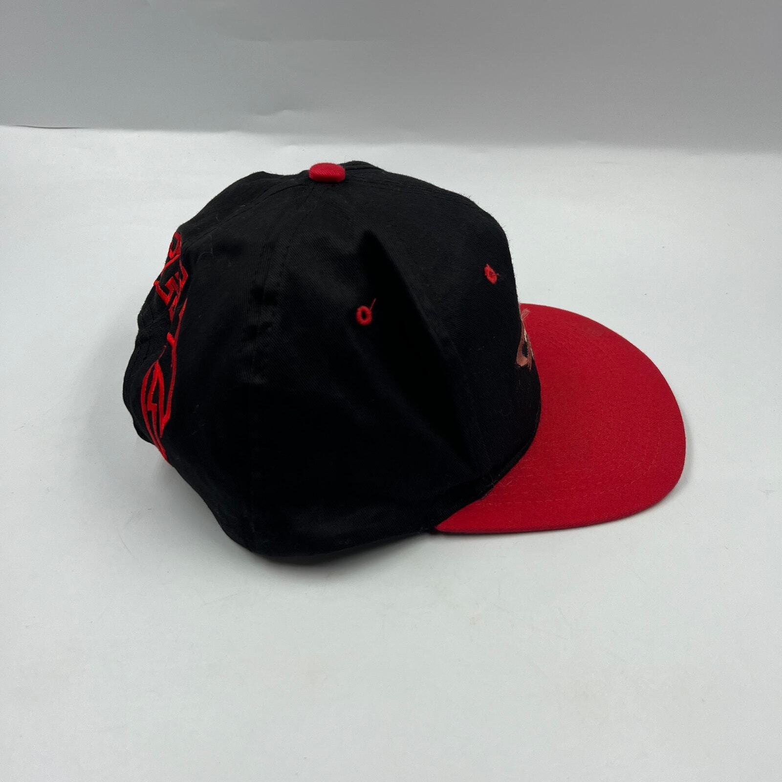 Vintage 1993 Looney Tunes Tazmania Taz Devil Embroidered Baseball Cap ...