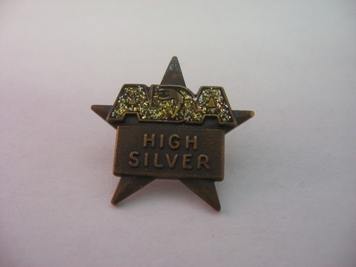ADA Dancing Academy HIGH SILVER Award Pin | eBay