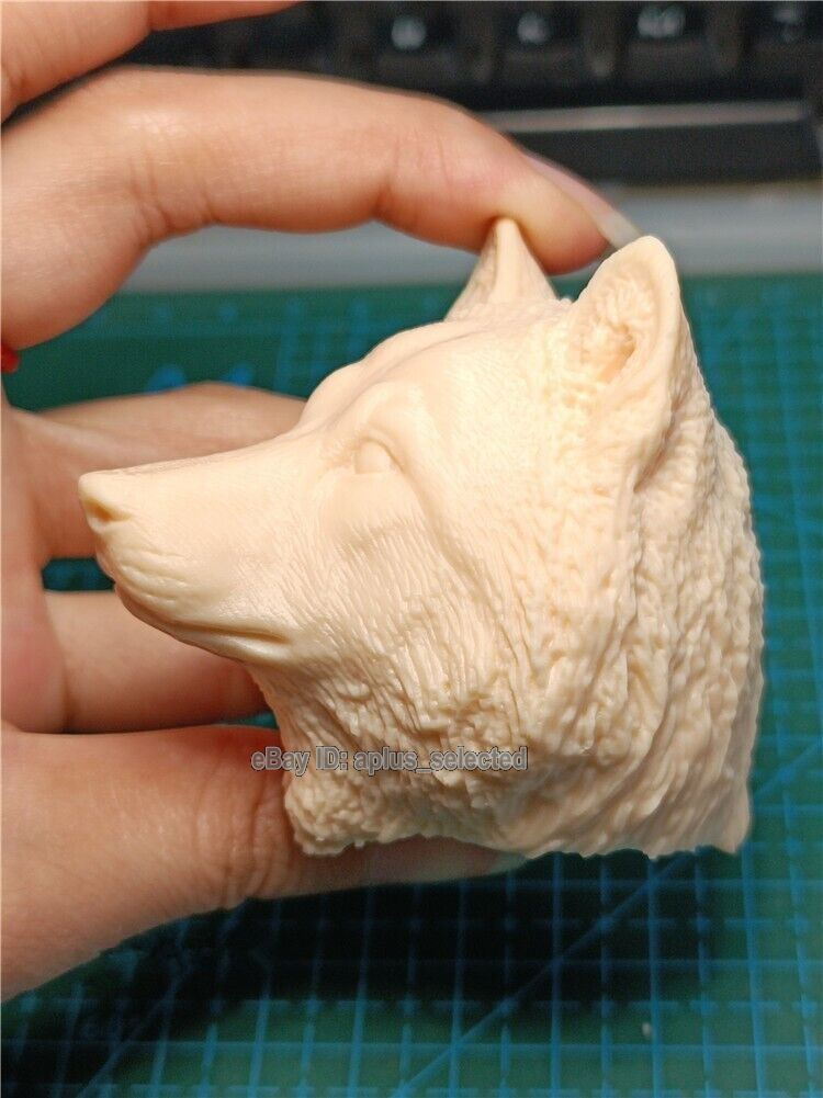 1:6 Head Sculpt North American Gray Wolf Carved For 12" Male Action ...