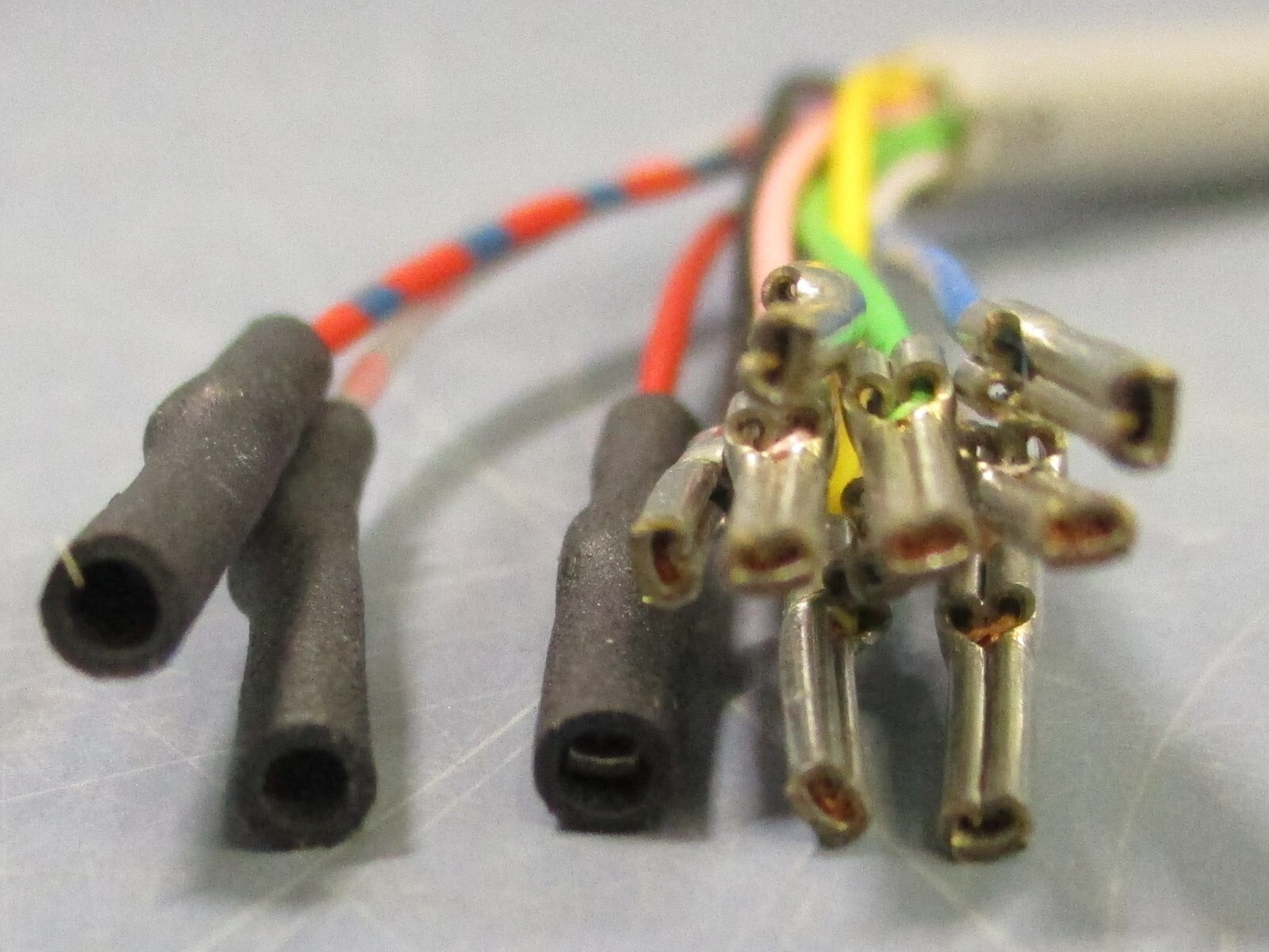 ESCHA 8028900/53210 Female Cable Assy. 12 Pin WAKS12-5/S366/S2684 5M ...